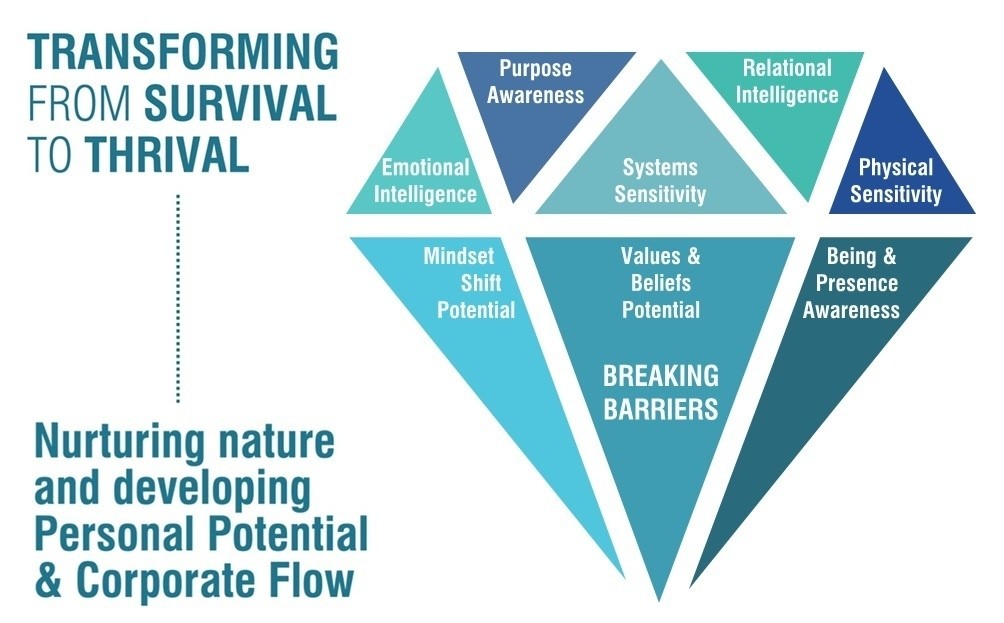 Training & Coaching Square | Onze missie en visie